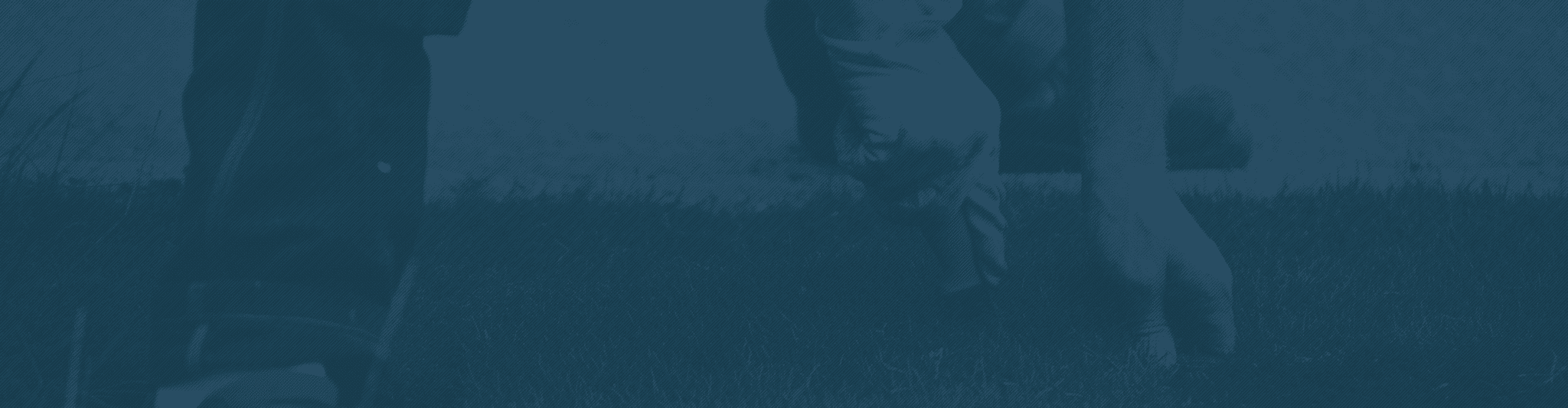 Designing a Mobile CRM with Flutter - MobiDev