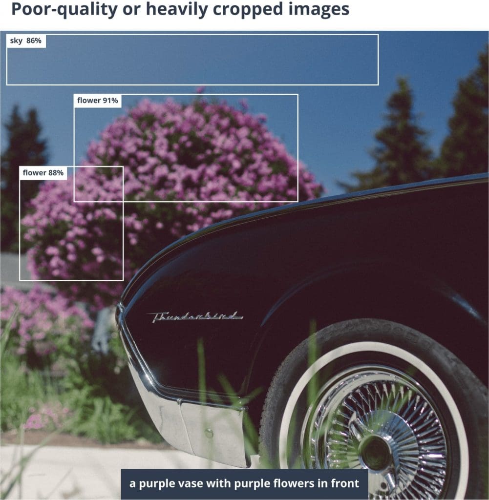 Image Captioning and Tagging Using Deep Learning Models