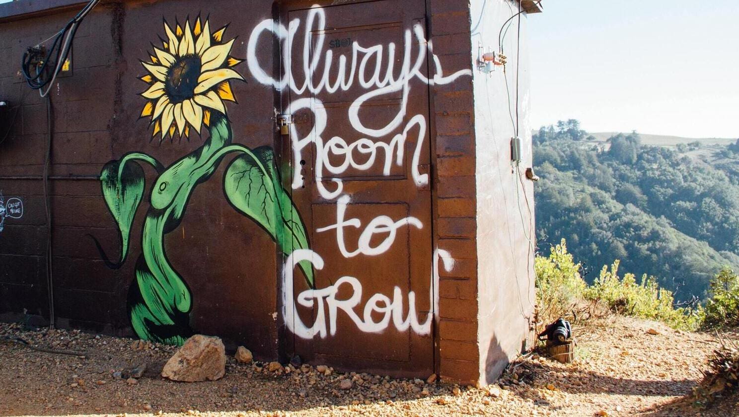 Scaling, Not Failing: How to Scale Software Systems