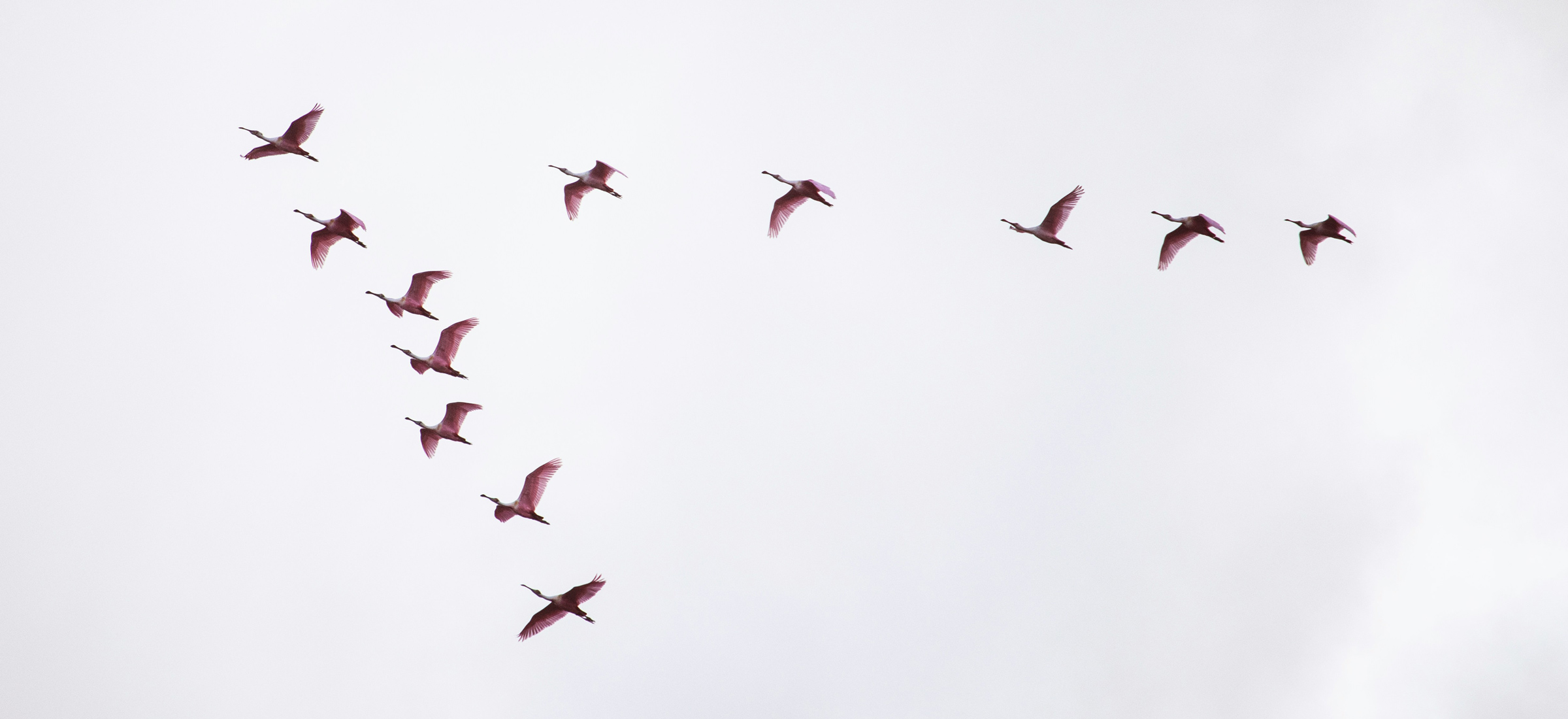 IoT Application Development With The AWS IoT Platform - MobiDev