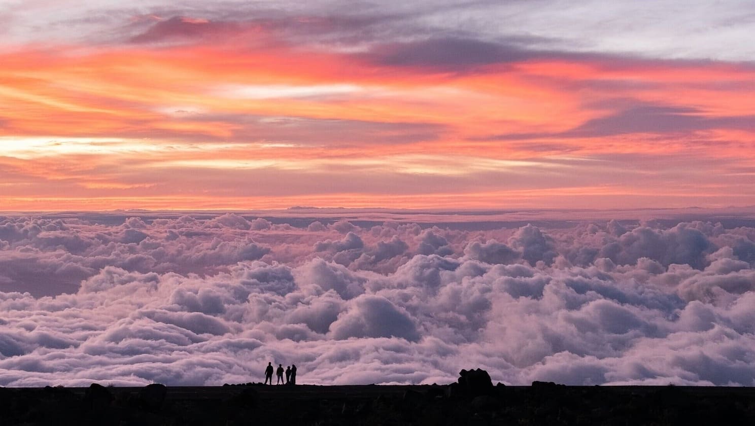 Building Cross-Platform Apps With .Net MAUI: CTO's Guide