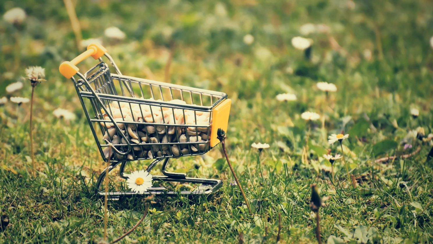 WEBINAR: TRANSFORMING RETAIL WITH AI POS SYSTEMS WEBINAR: TRANSFORMING RETAIL WITH AI POS SYSTEMS